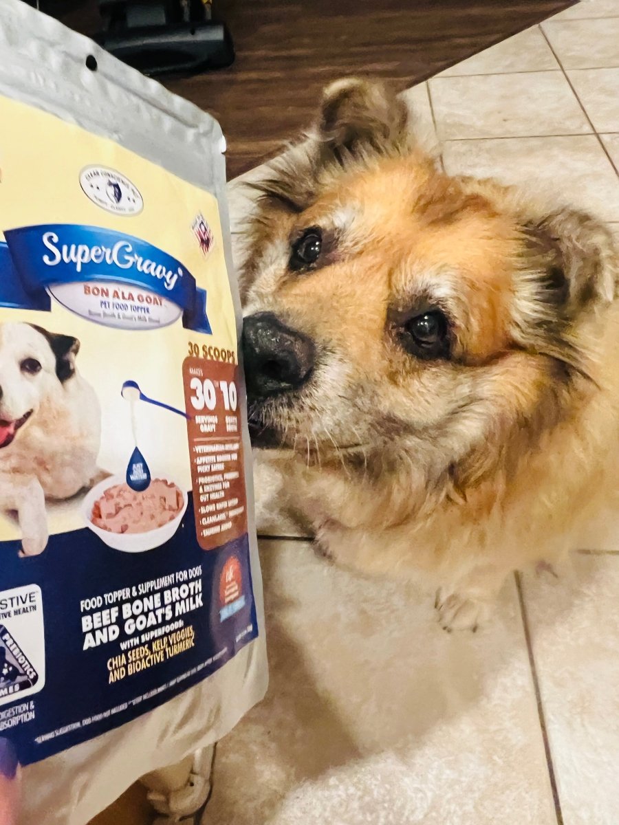 Let’s just say the bowl is empty – Clear Conscience Pet