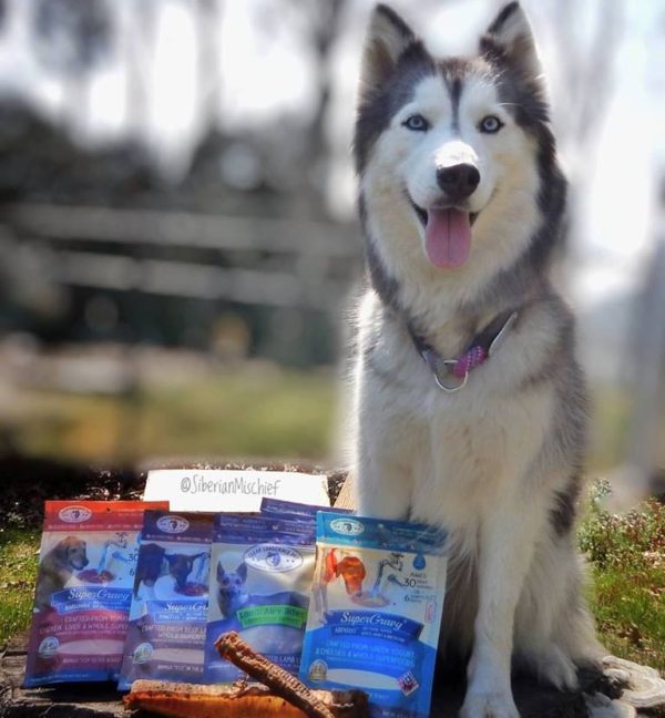 Skye Blue has always loved them – Clear Conscience Pet