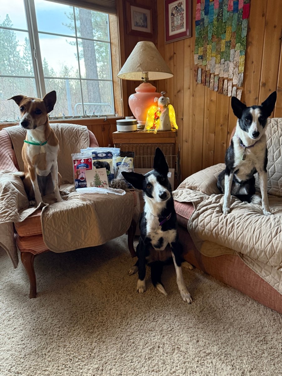 Yappy New Year! – Clear Conscience Pet