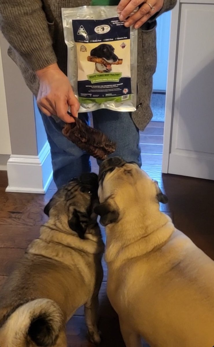 Our New Favorite Chews! – Clear Conscience Pet
